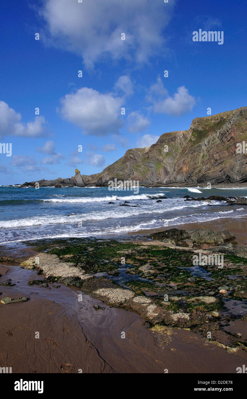 Rocks and sea at Warren Beach, Hartland Quay, Devon, UK September 2012 ...