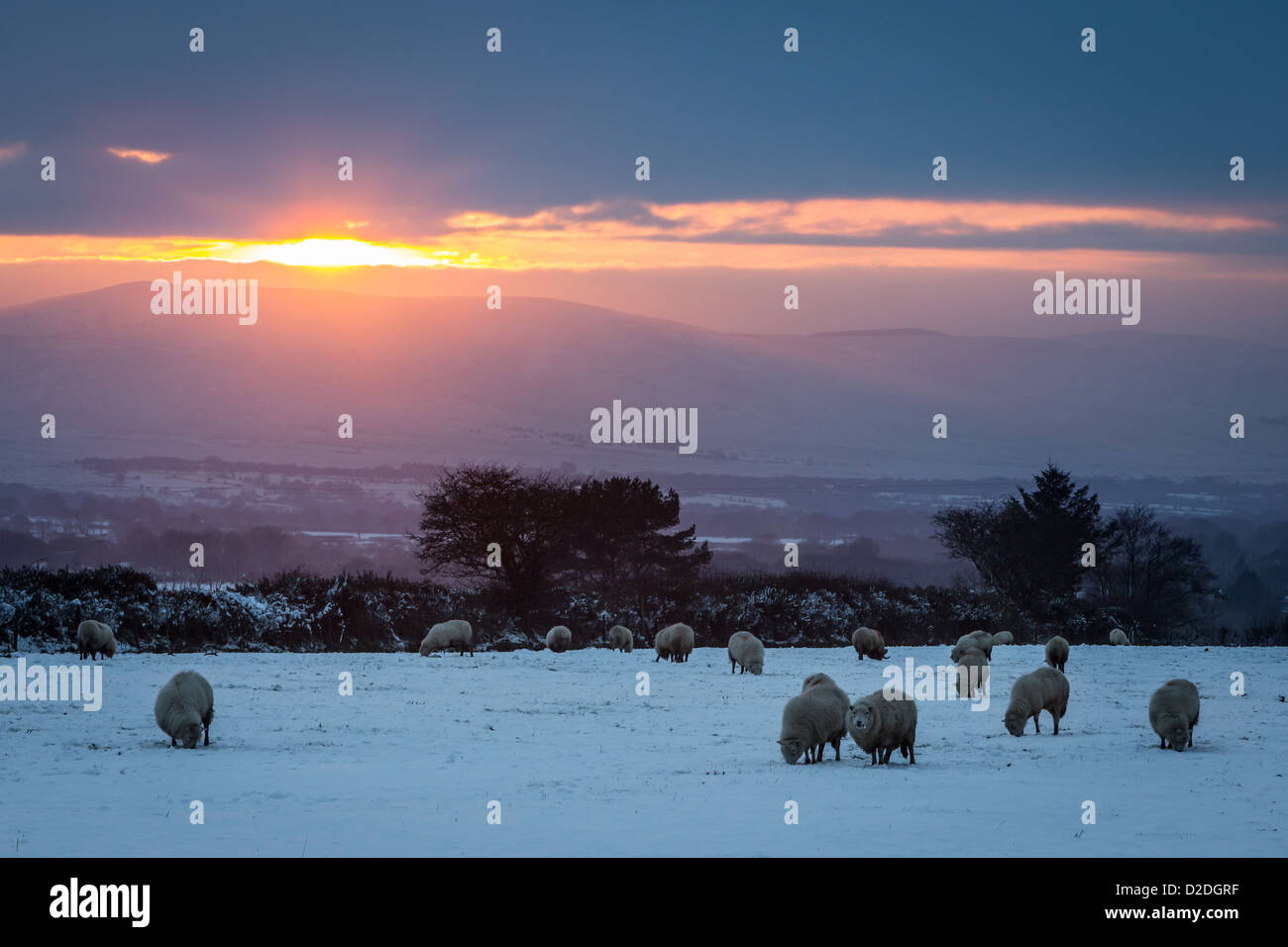 Llandisilio hi-res stock photography and images - Alamy