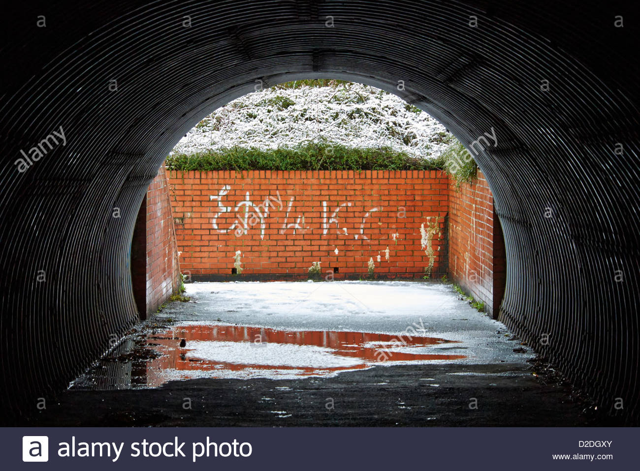 Graffiti Subway High Resolution Stock Photography and Images - Alamy