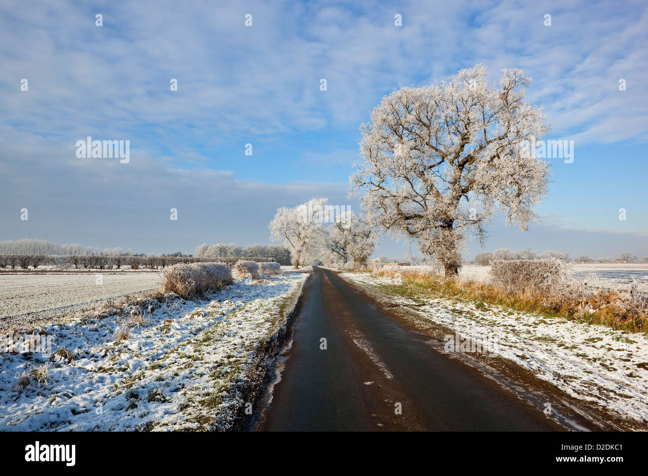 A snowy country road with trees and hedgerows in an agricultural ...