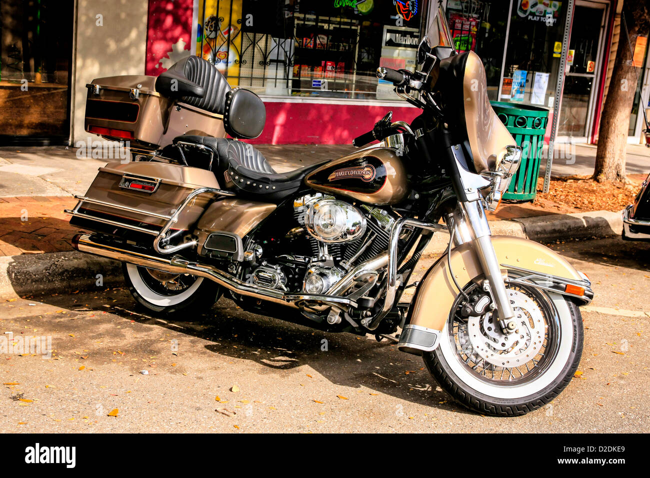 Harley at the Thunder in the Bay motorcycle event in Sarasota Florida ...