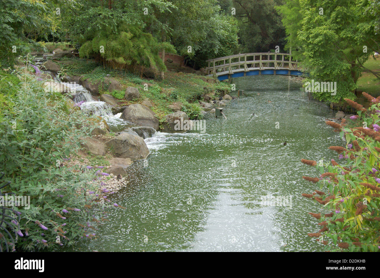 Waterfall and footbridge in Regents Park in London, England Stock Photo ...