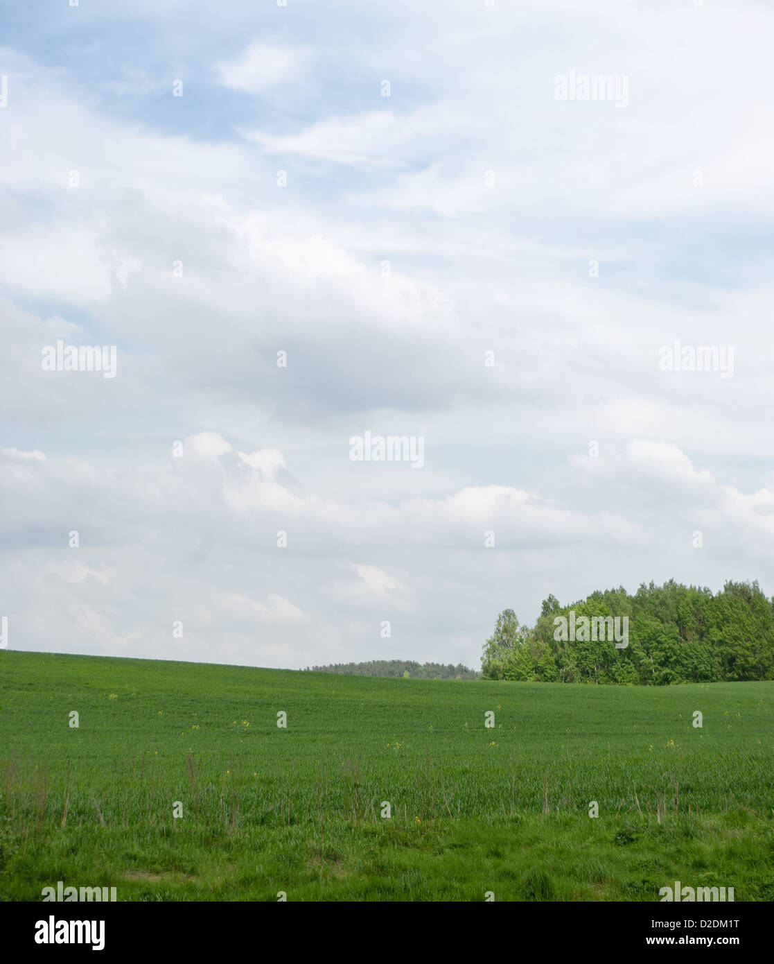 European landscape - a field and wood on horizon Stock Photo - Alamy