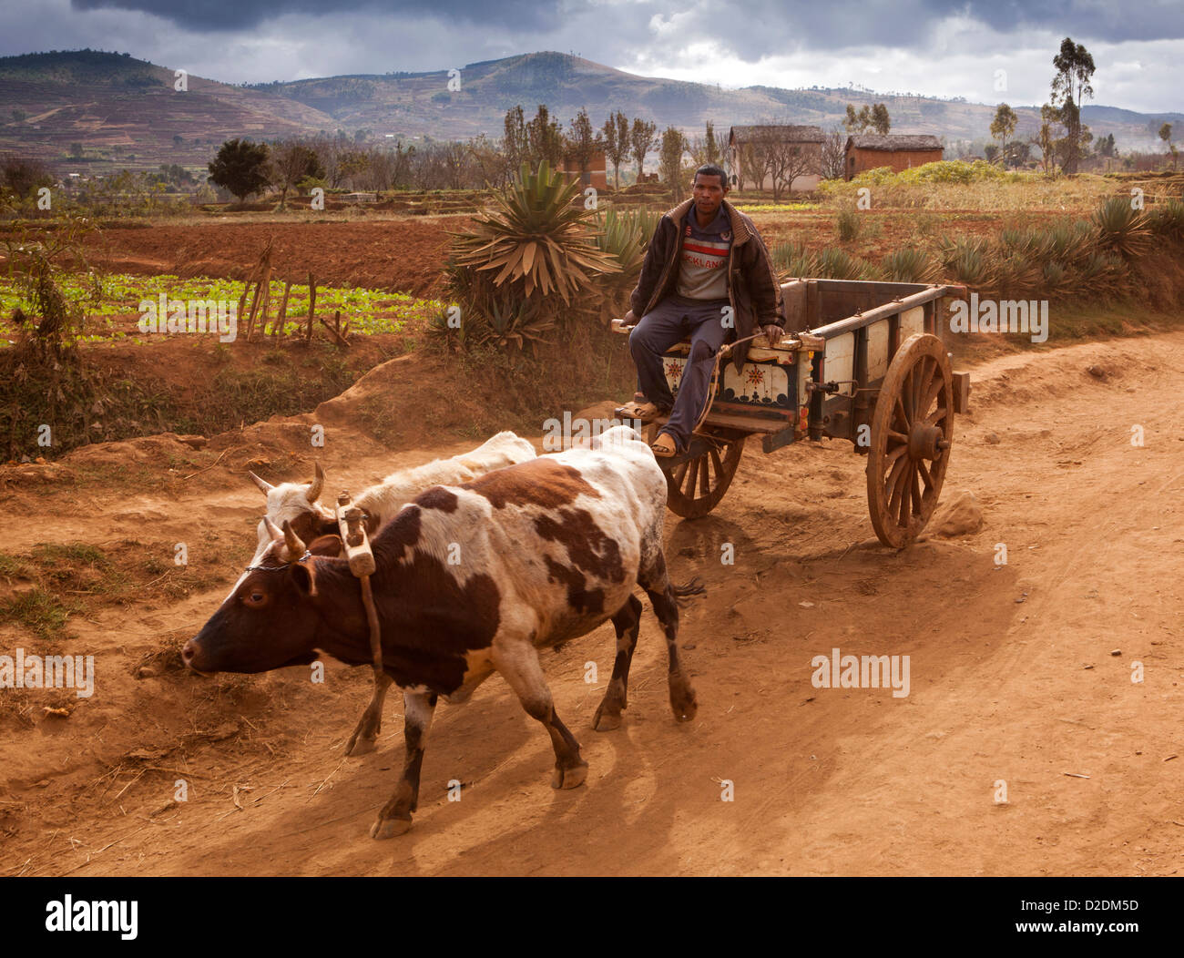 Madagascar, Antsirabe, bullock cart on rough unmade road Stock Photo ...