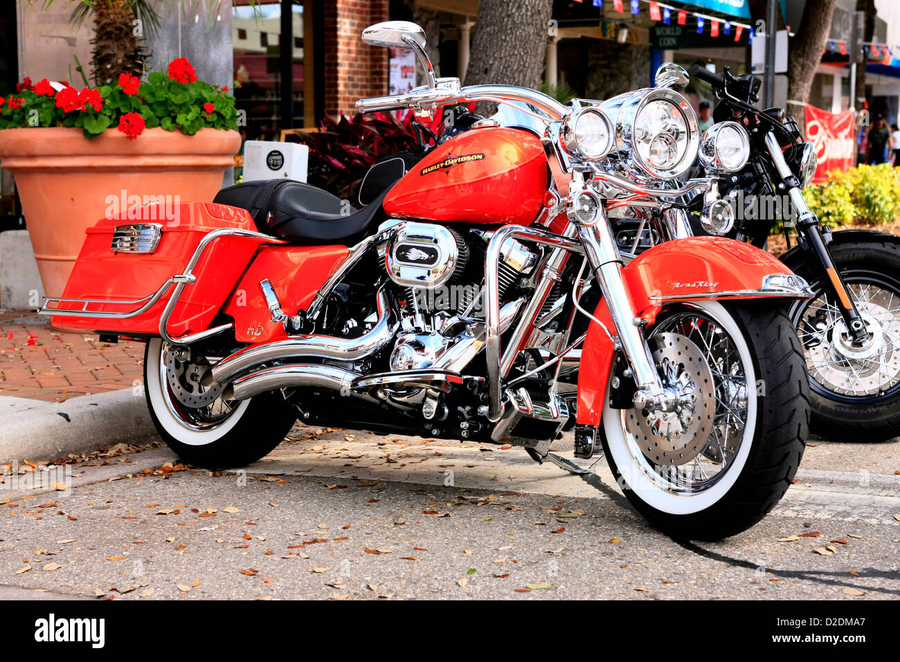 Harley at the Thunder in the Bay motorcycle event in Sarasota Florida ...