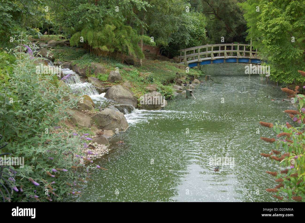 Waterfall and footbridge in Regents Park in London, England Stock Photo ...