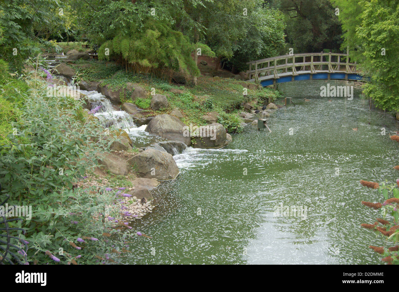 Waterfall and footbridge in Regents Park in London, England Stock Photo ...