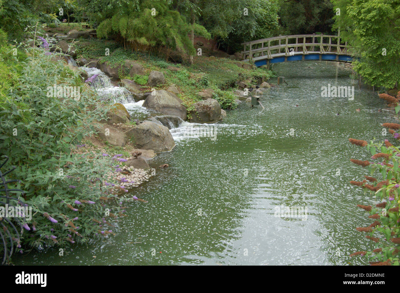 Waterfall and footbridge in Regents Park in London, England Stock Photo ...