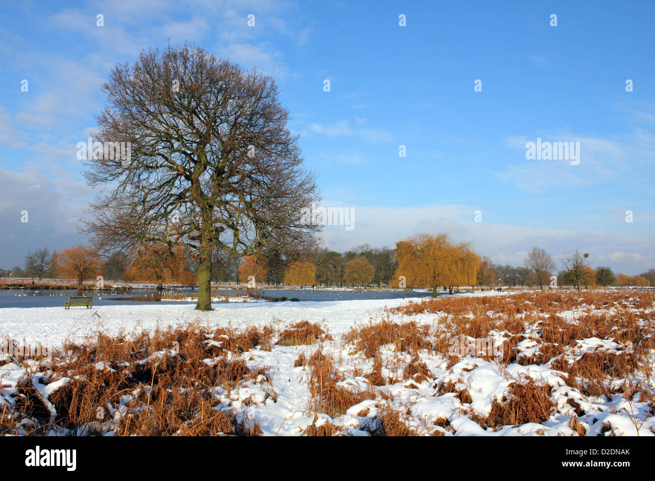 London after snow hi-res stock photography and images - Alamy