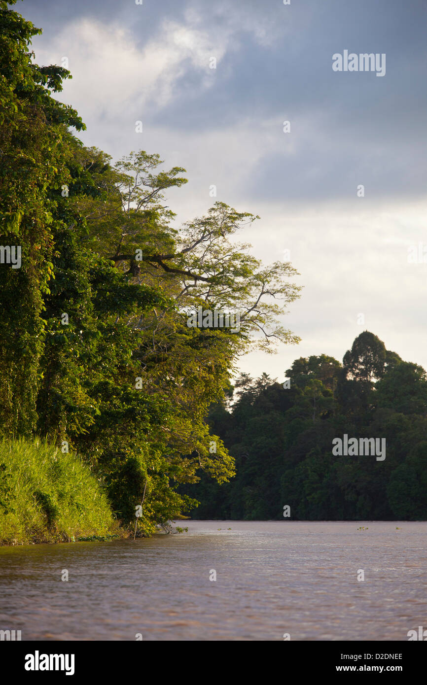 Malaysia, Borneo, Sabah State, Kinabatangan river Stock Photo - Alamy