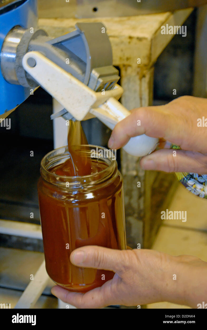 France, Lozere department, Honey extraction Stock Photo - Alamy