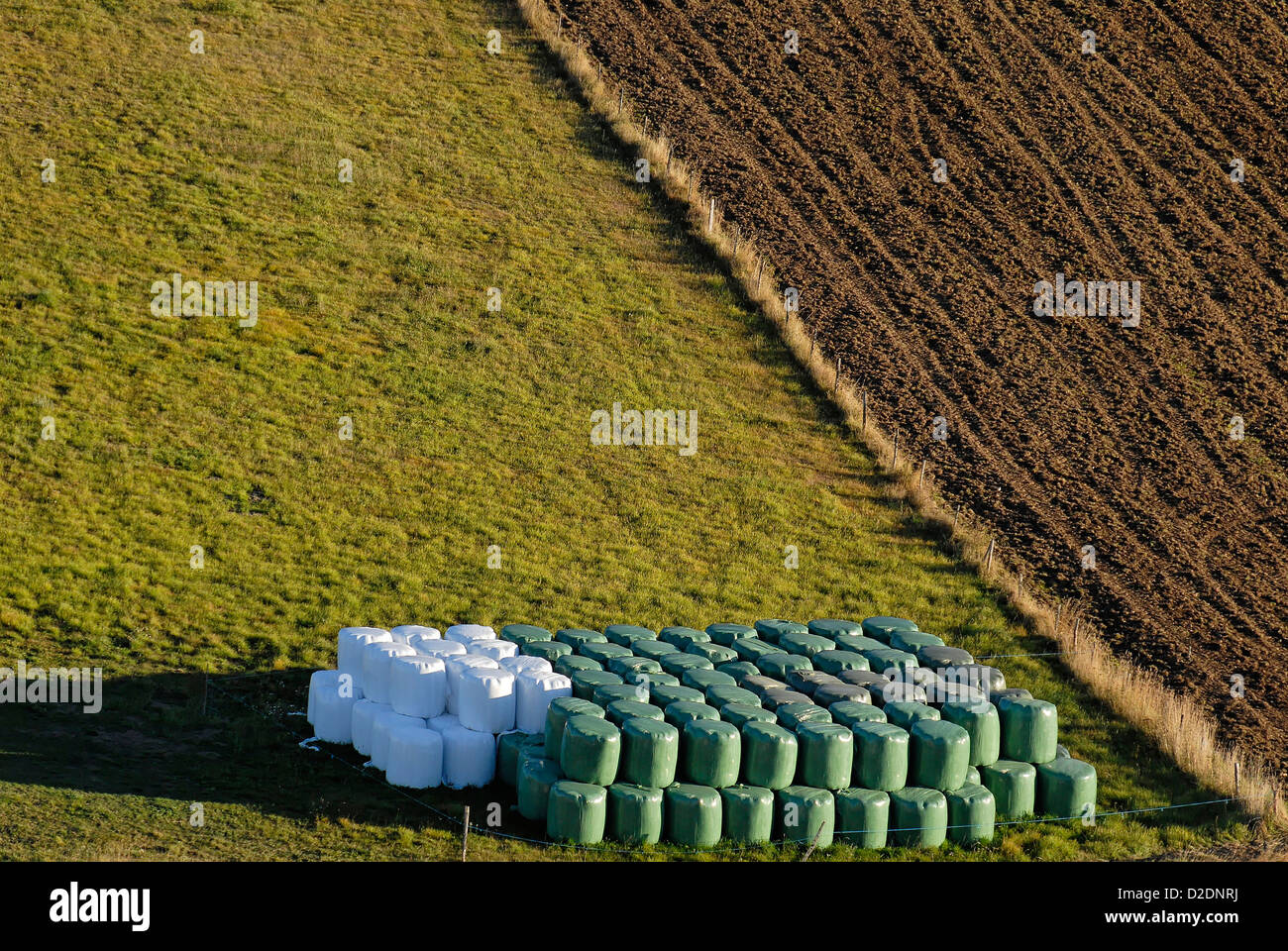 France, Lozere department, La Margeride, packed haystacks Stock Photo ...