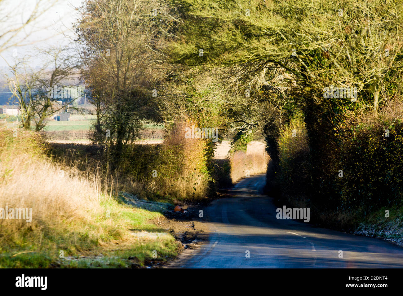 Empty country lane hi-res stock photography and images - Alamy