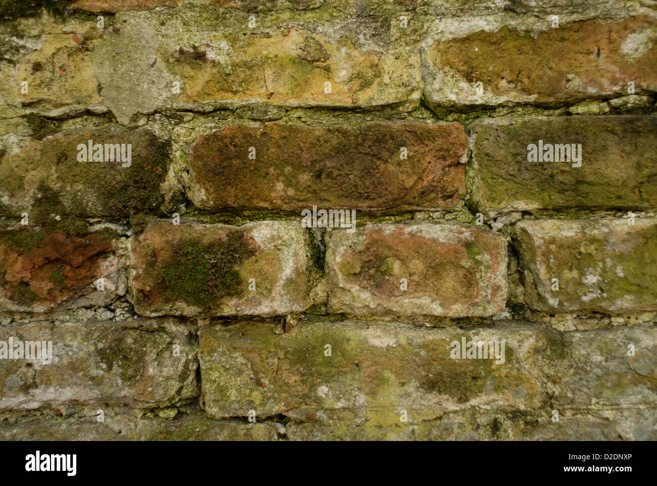 bricks in a wall with moss Stock Photo - Alamy