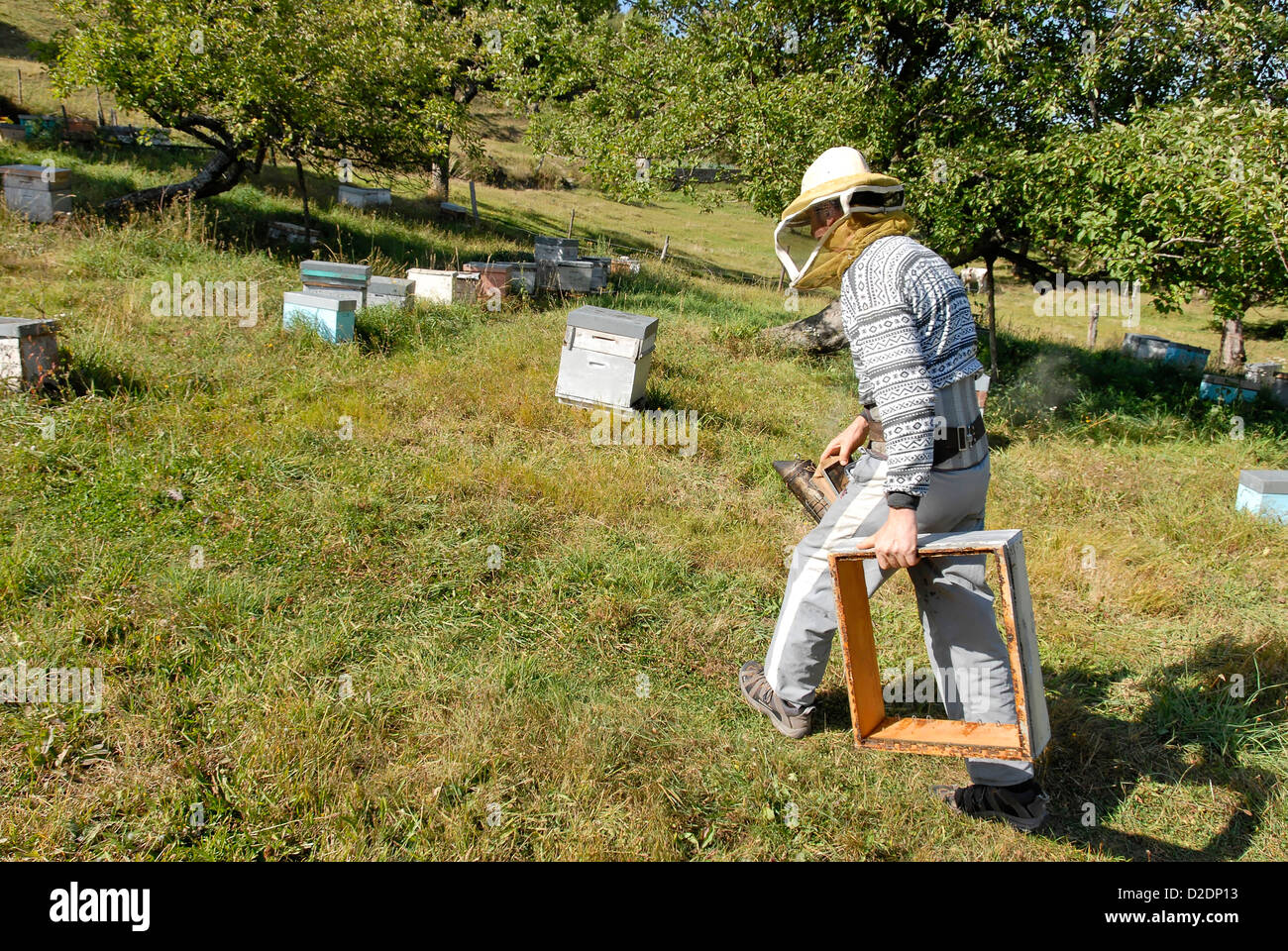 France, Lozere department, a beekeeper Stock Photo - Alamy
