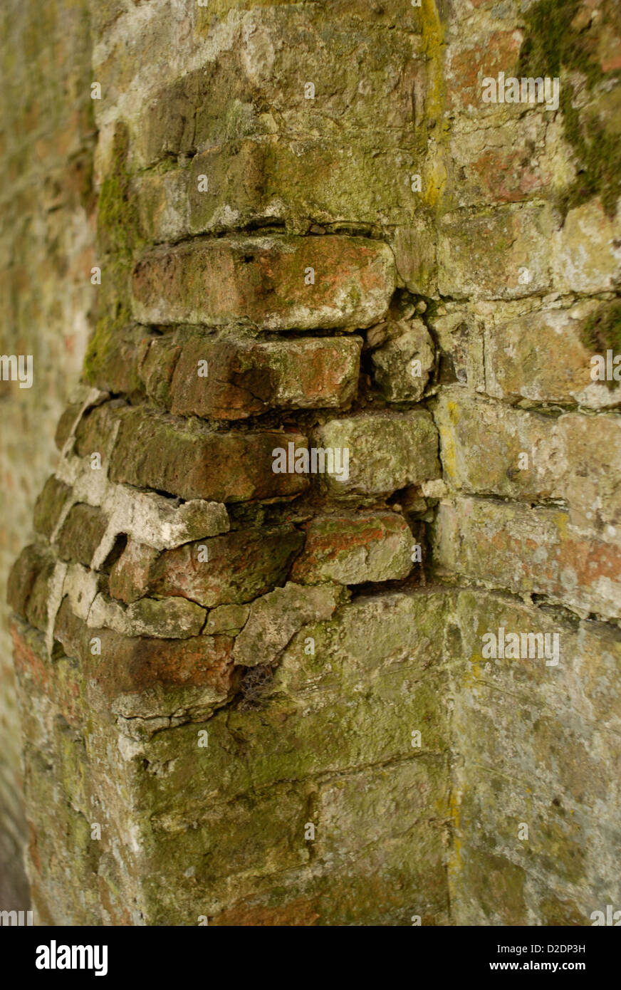 Brick covered in moss hi-res stock photography and images - Alamy