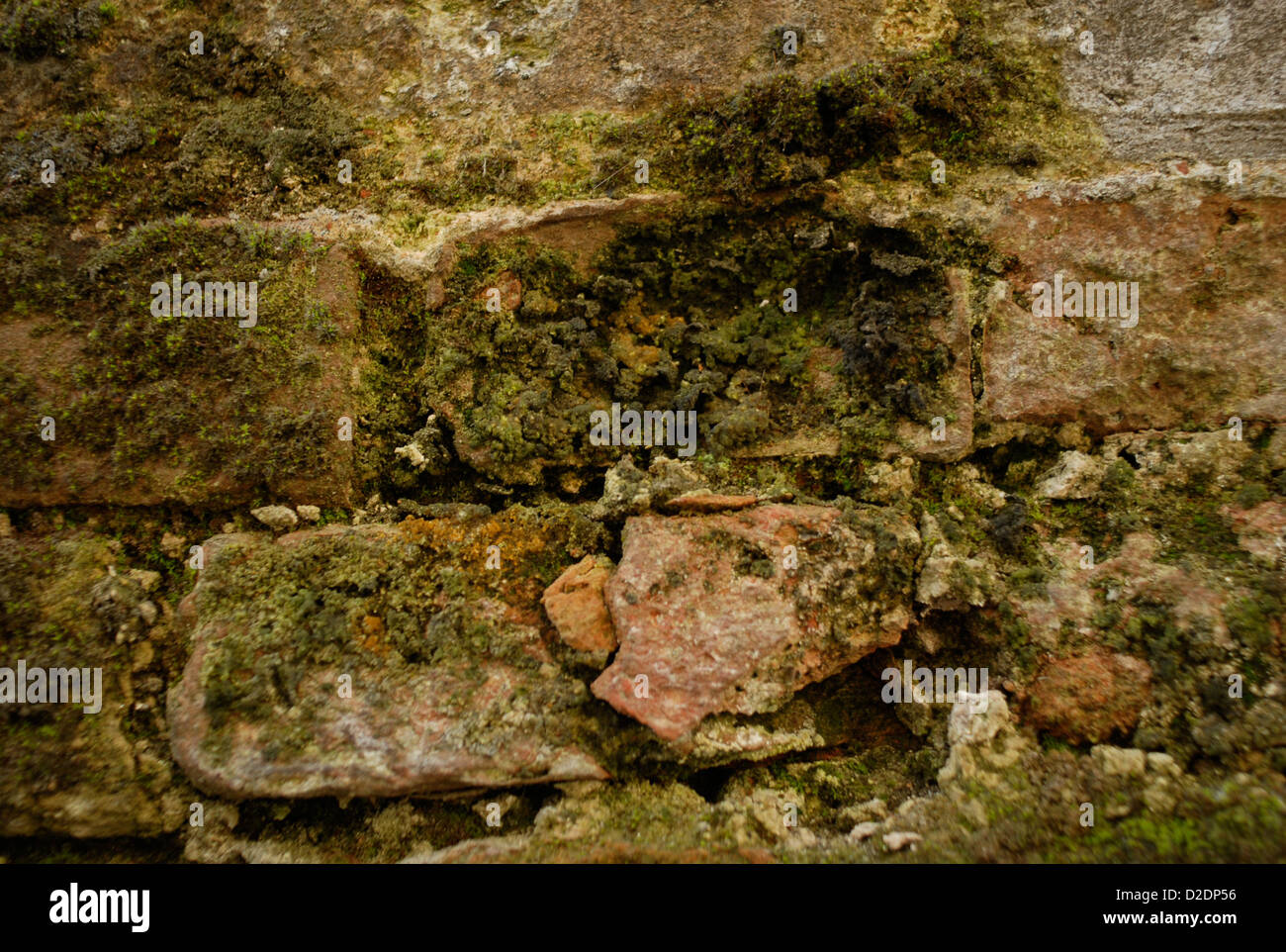 Crumbling bricks in a wall hi-res stock photography and images - Alamy