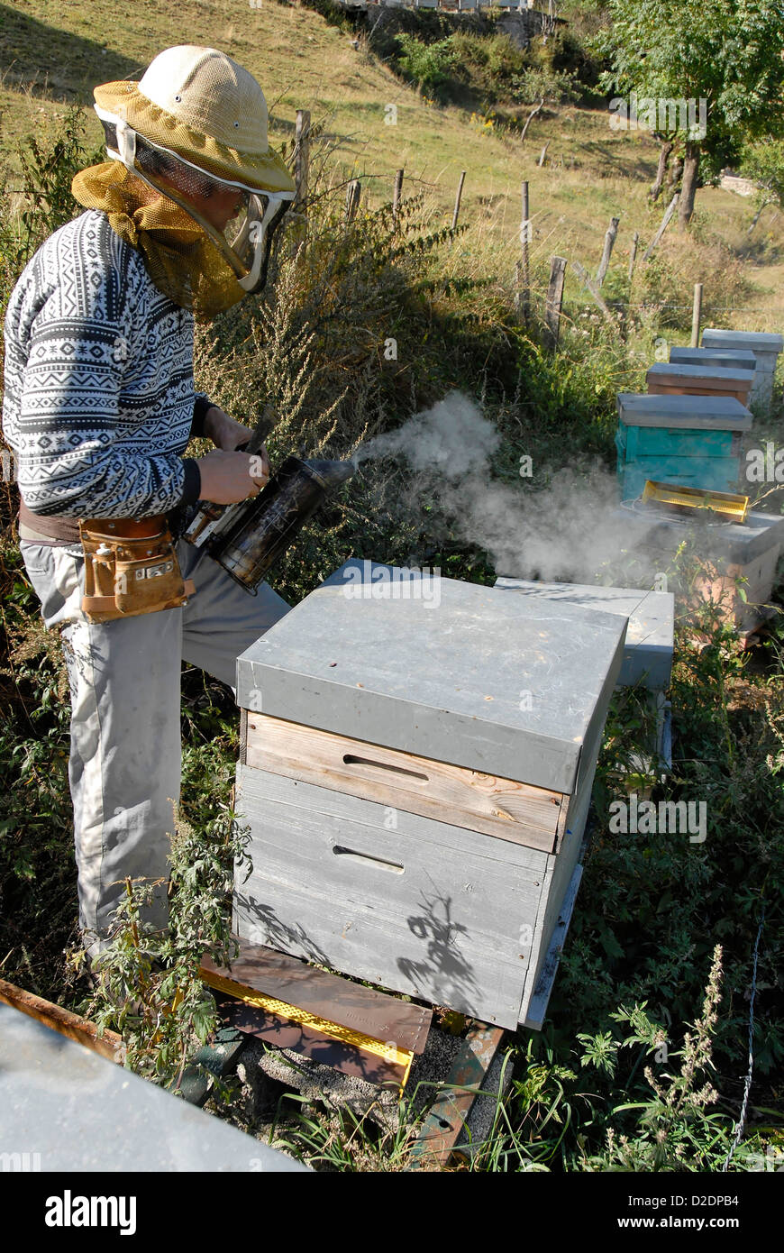 France, Lozere department, a beekeeper Stock Photo - Alamy