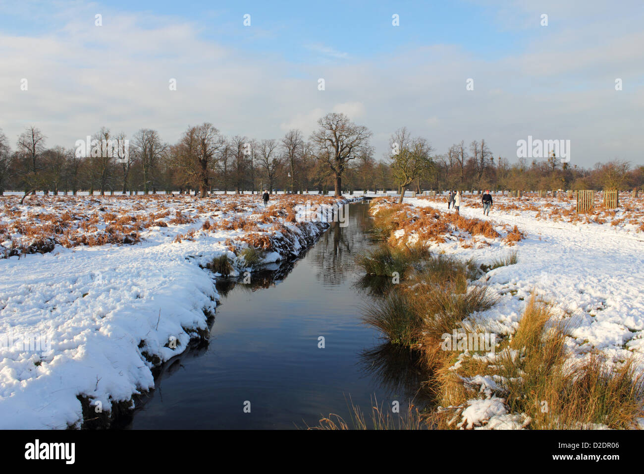 Bushy Park, London, England, UK. 21st Jan, 2013. The Longford River in ...