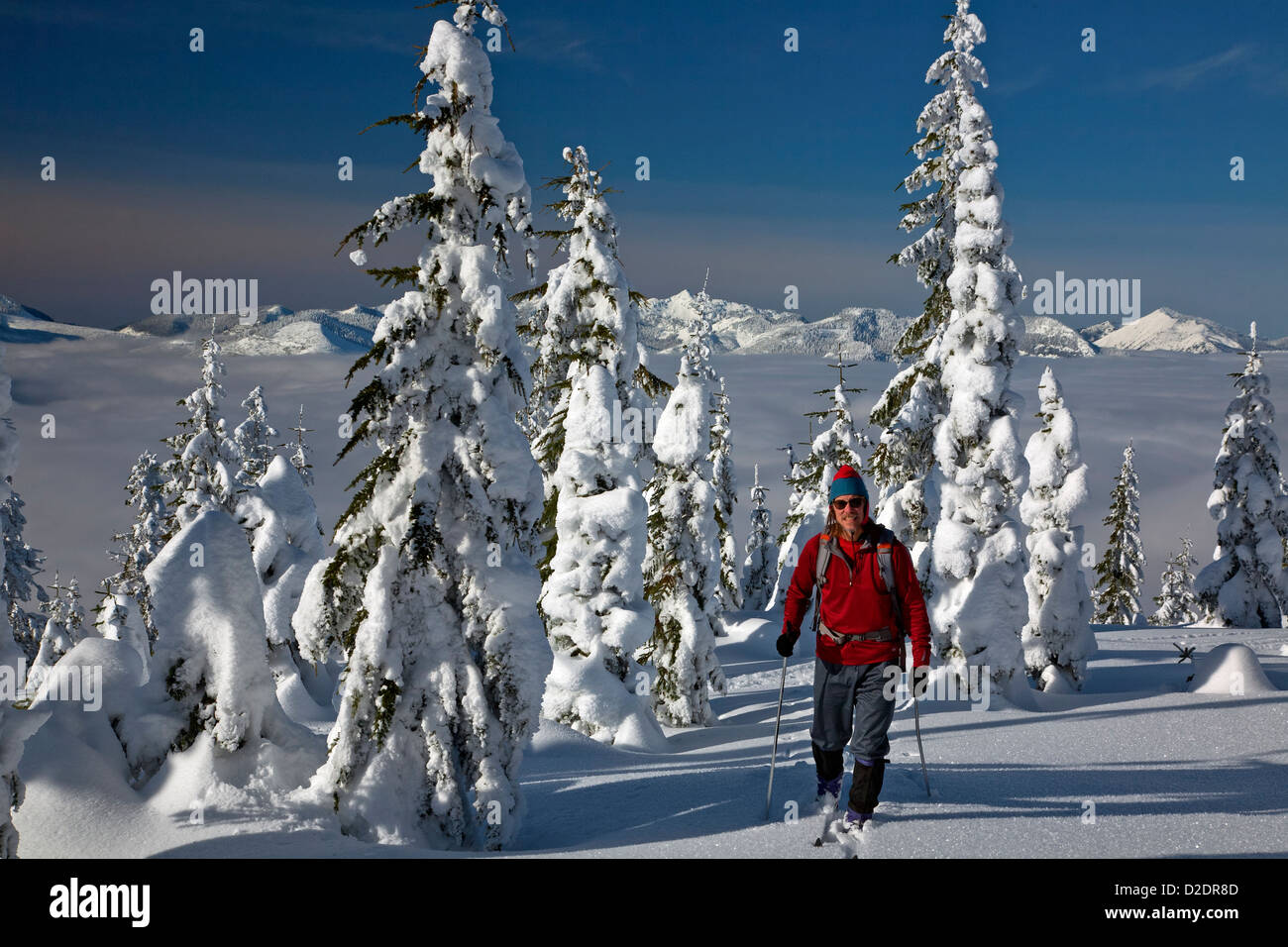 Beautiful high country trees hi-res stock photography and images - Alamy