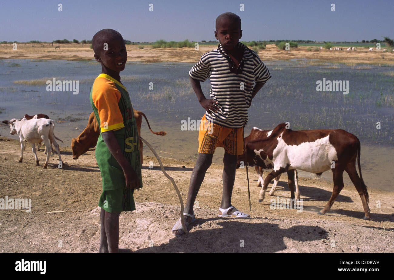 Two boys tend their goats in rural Mali West Africa Stock Photo - Alamy