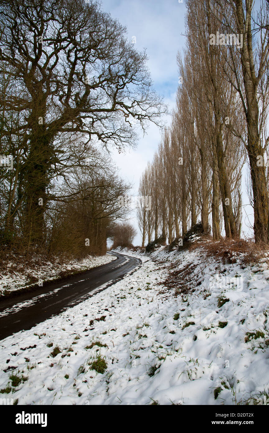 English country lane after snowfall Silchester Hampshire England UK ...