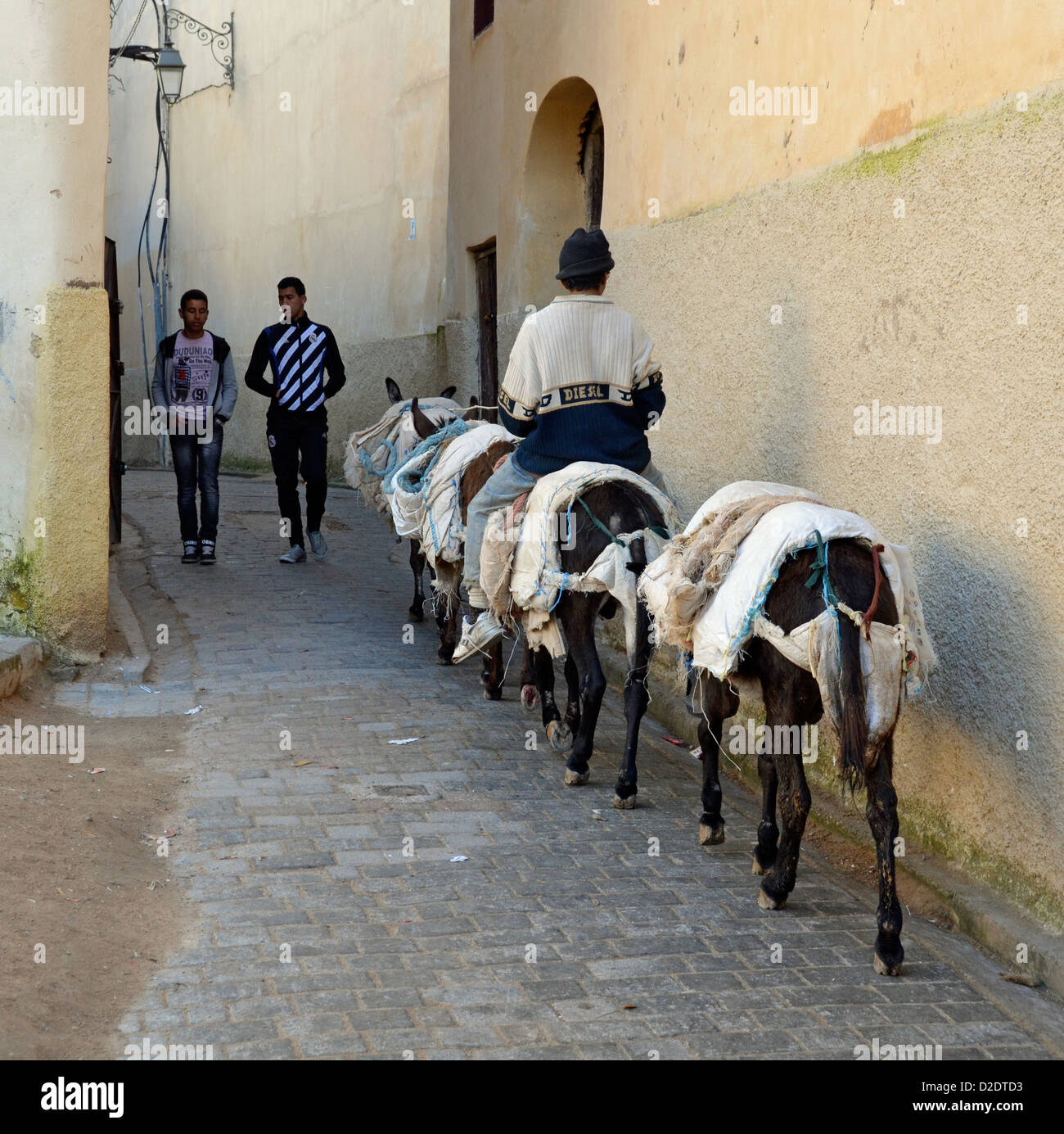 Donkey train, Fez, Morocco Stock Photo - Alamy