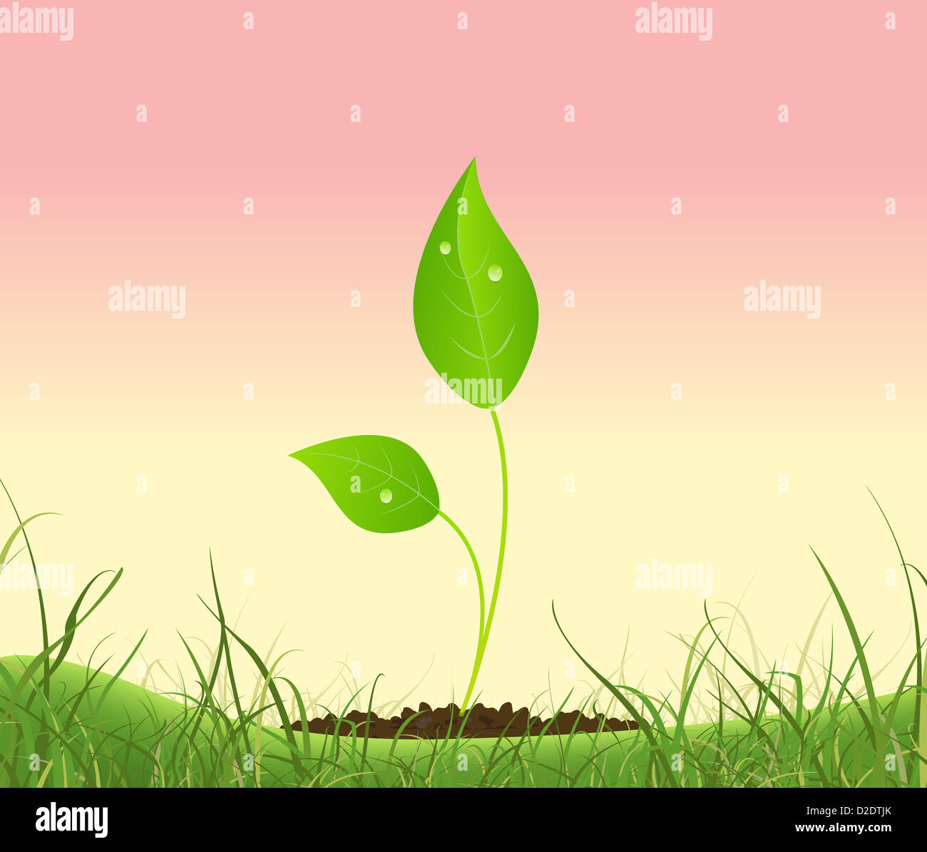 Illustration of a spring or summer seasons young plant growing among ...