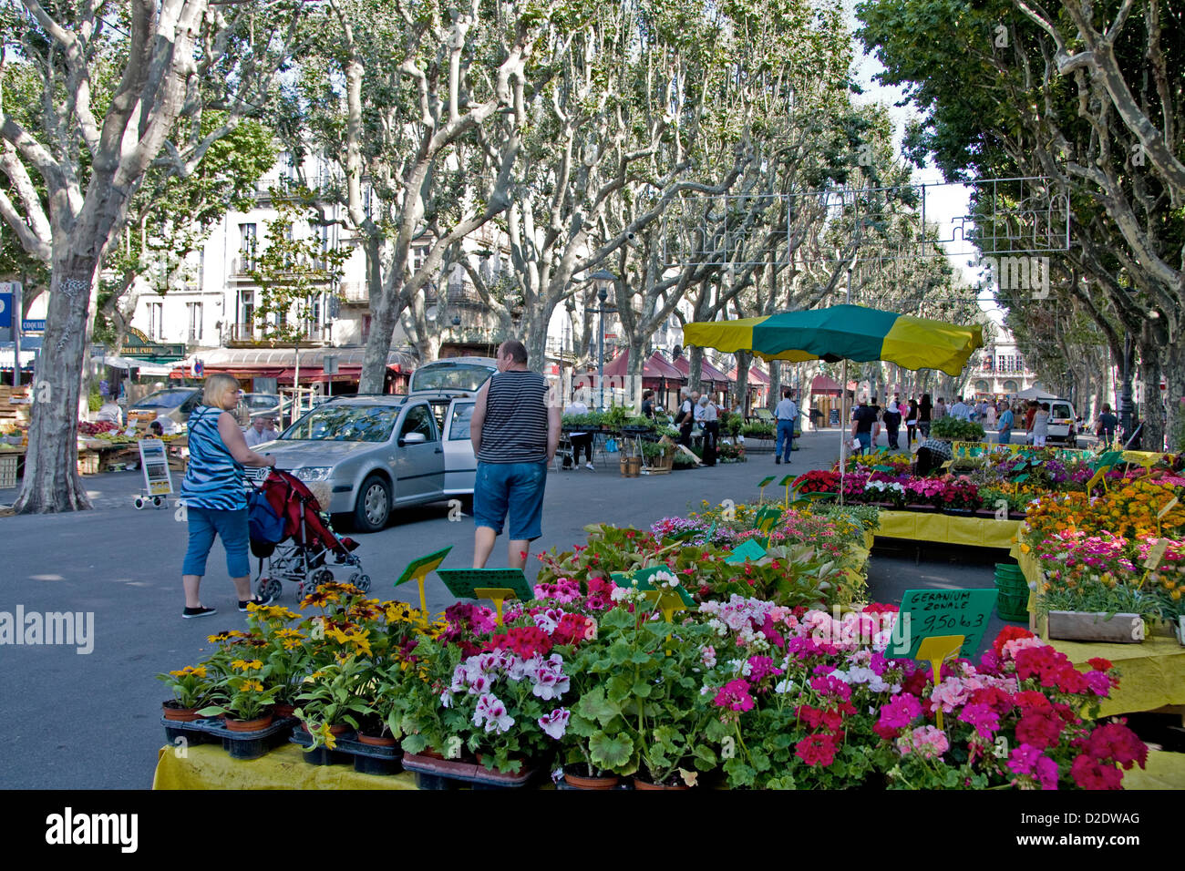 Riquet hi-res stock photography and images - Alamy