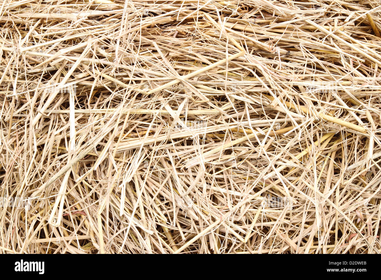 close up straw texture background Stock Photo - Alamy