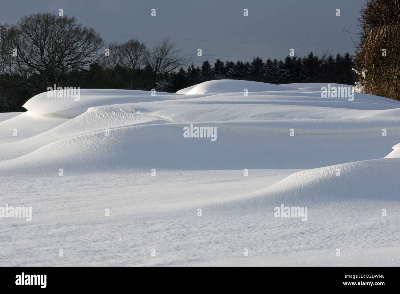 Frost drift hi-res stock photography and images - Alamy