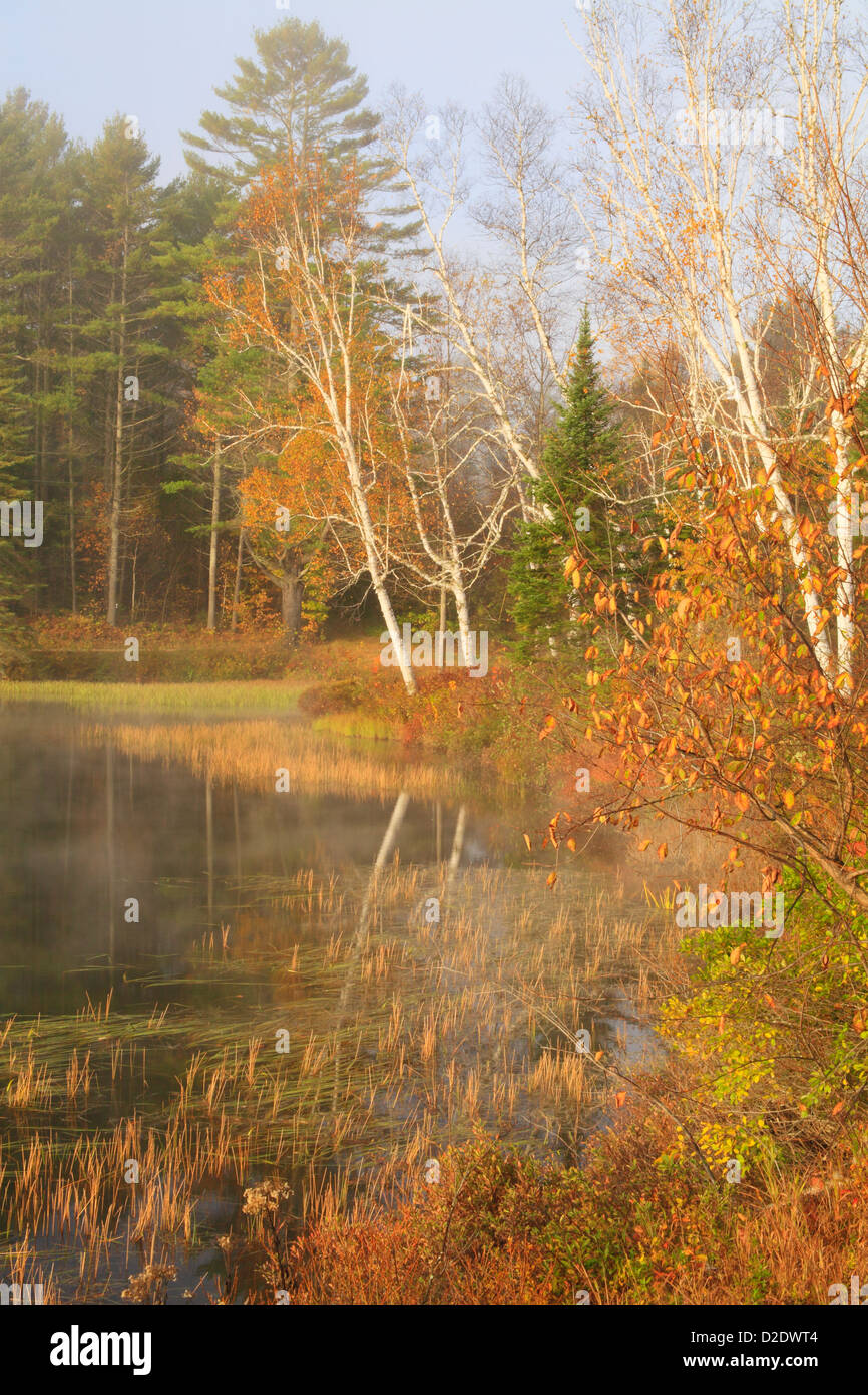Pearl lake hi-res stock photography and images - Alamy