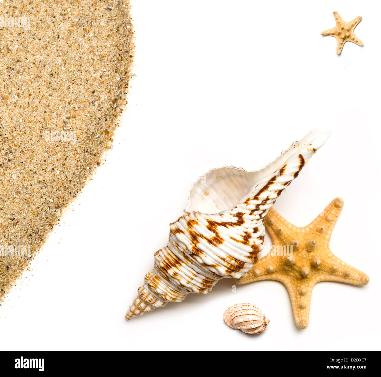 background of sea shells and sand Stock Photo - Alamy