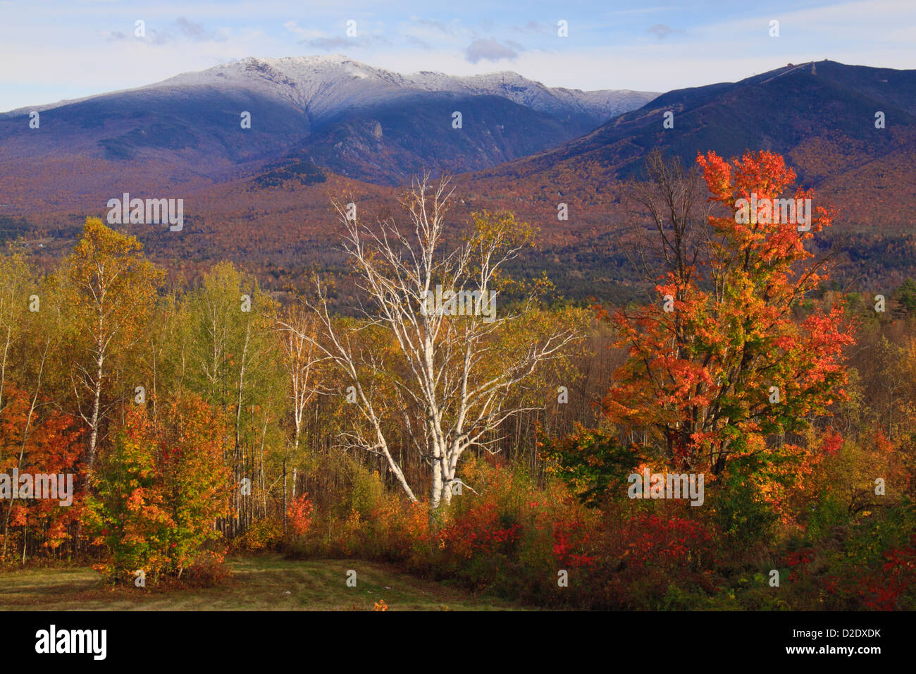 Mount Lafayette Seen From Sunset Hill, Sugar Hill, White Mountains, New ...