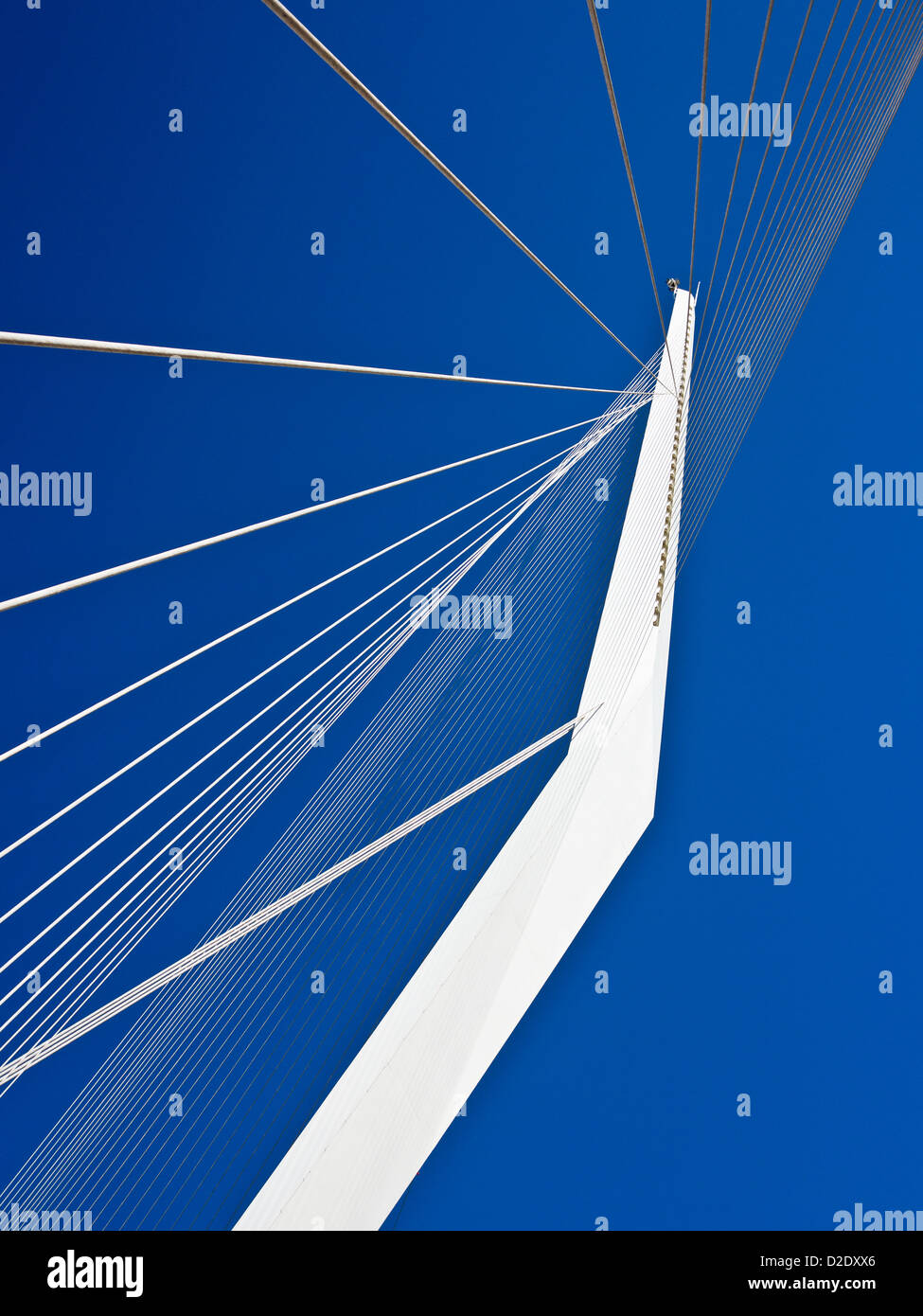 Unique architecture of the Santiago Calatrava Chords Bridge in ...