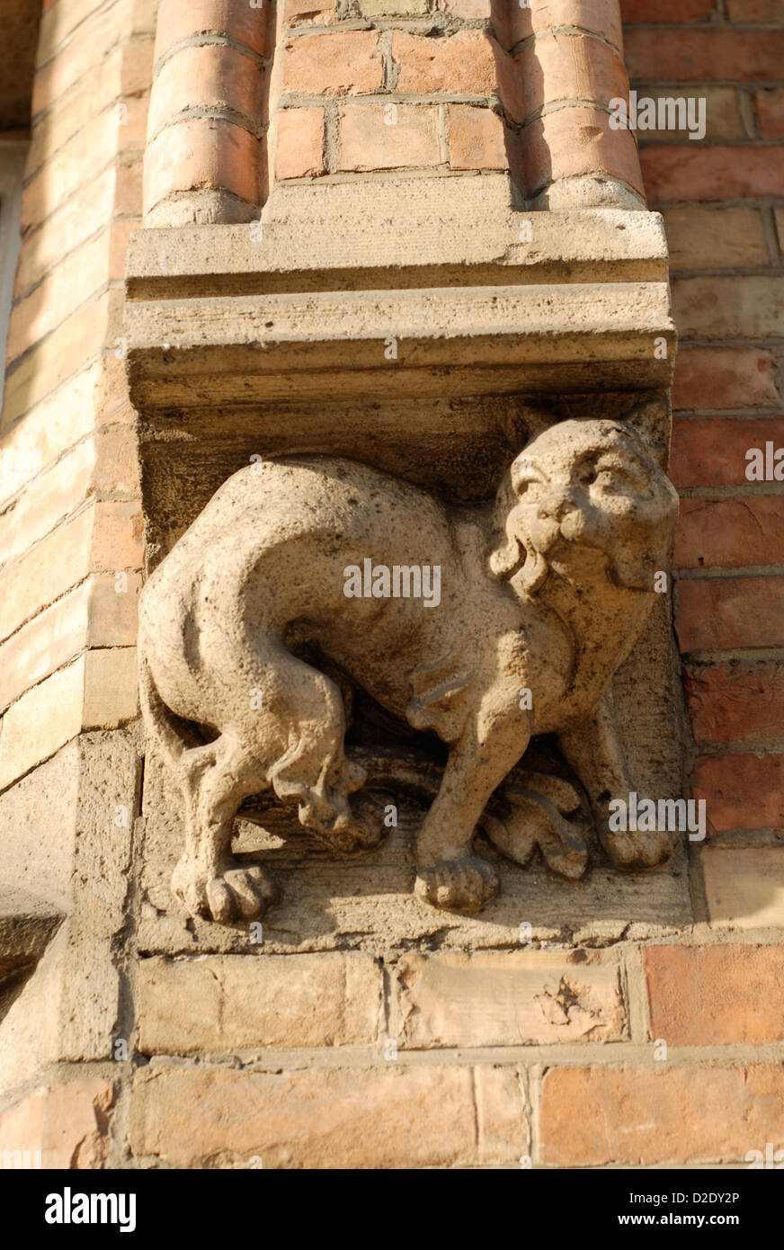old carved stone grotesque in the form of a lion in bruges belgium ...