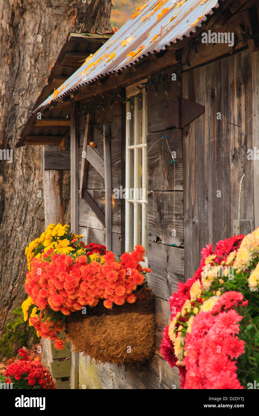 Sugar House, Button Farm Stand, Manchester, Varmont, USA Stock Photo ...
