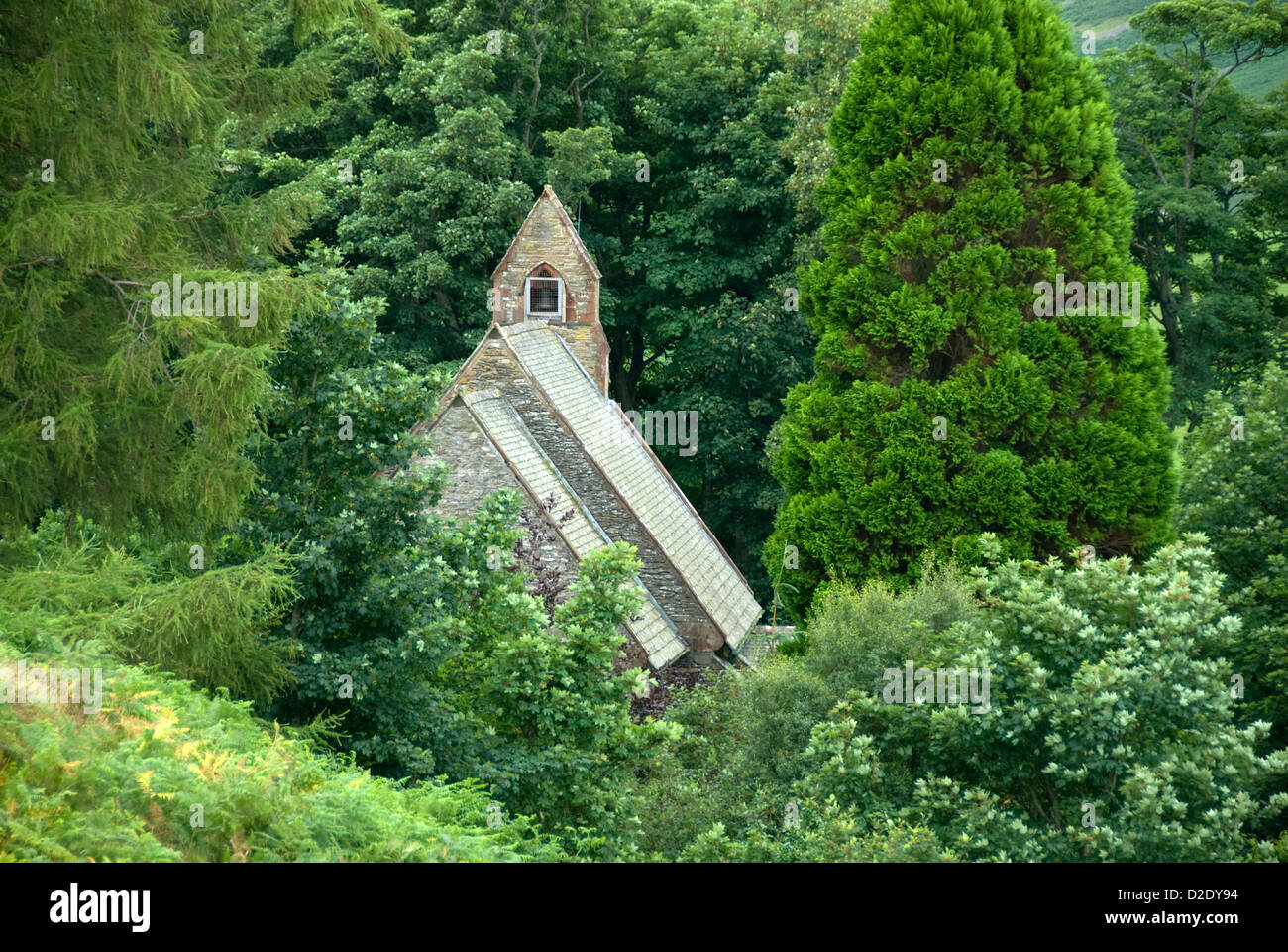 Martindale common hi-res stock photography and images - Alamy