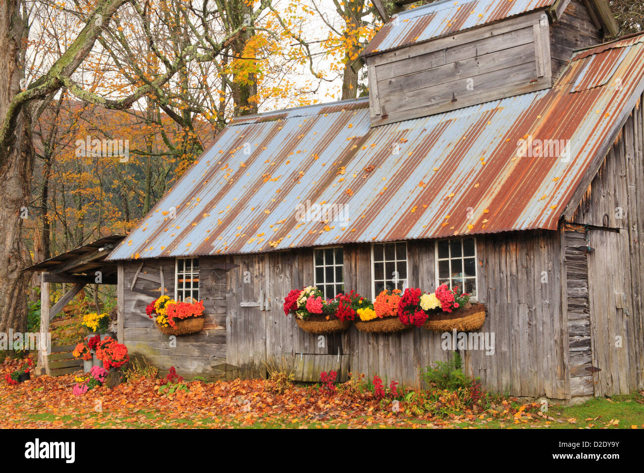Sugar House, Button Farm Stand, Manchester, Varmont, USA Stock Photo ...