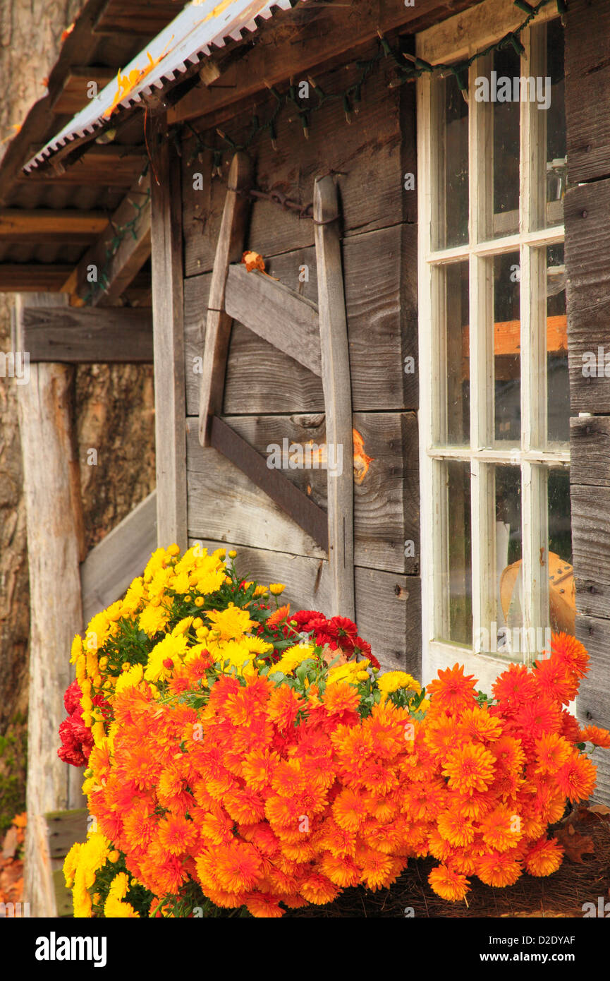 Sugar House, Button Farm Stand, Manchester, Varmont, USA Stock Photo ...