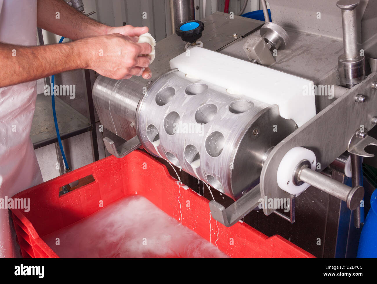 Worker of a cheese plant at the last step of fresh mozzarella ...