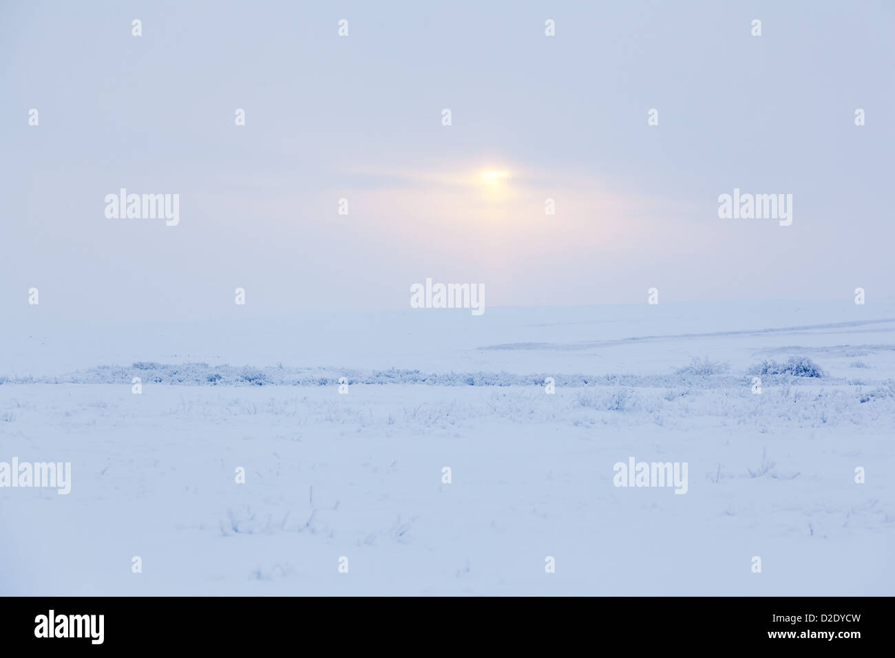 Sunset in the polar tundra Stock Photo - Alamy