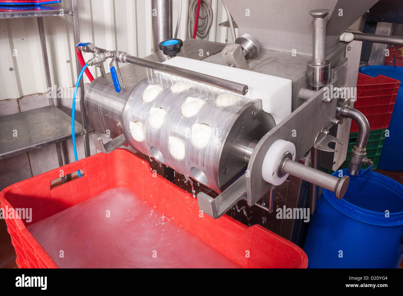 Final production step for fresh mozzarella Stock Photo - Alamy