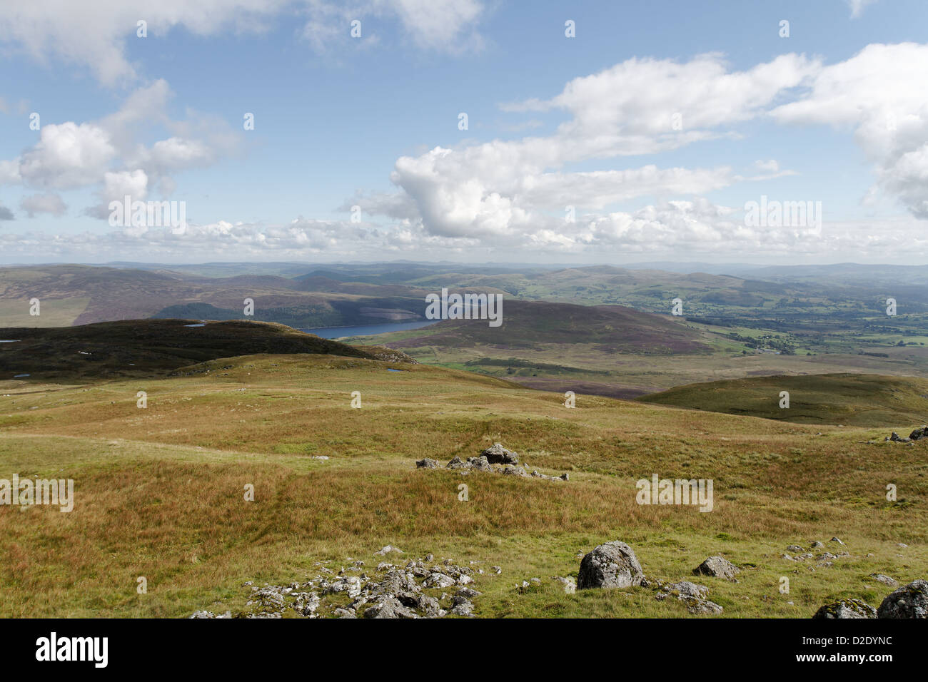Llyn celyn hi-res stock photography and images - Alamy