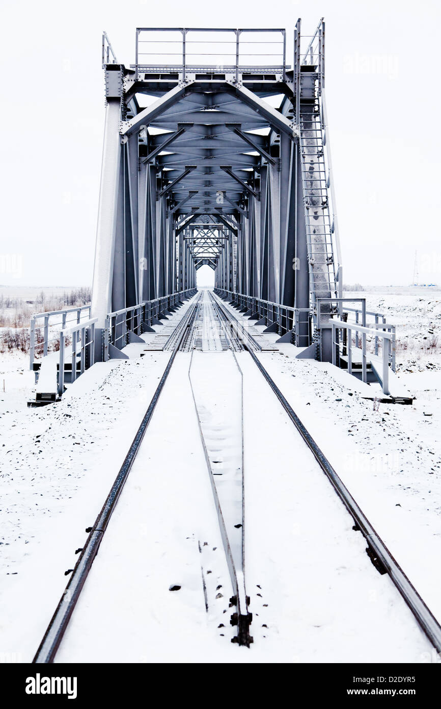 The Railway Bridge. Yamal, Russia Stock Photo - Alamy