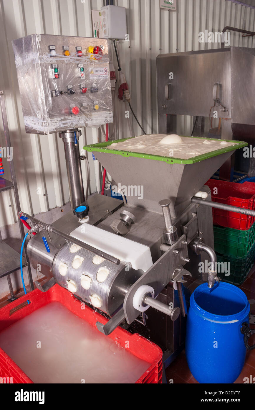 Processing fresh mozzarella cheese in a small plant Stock Photo - Alamy