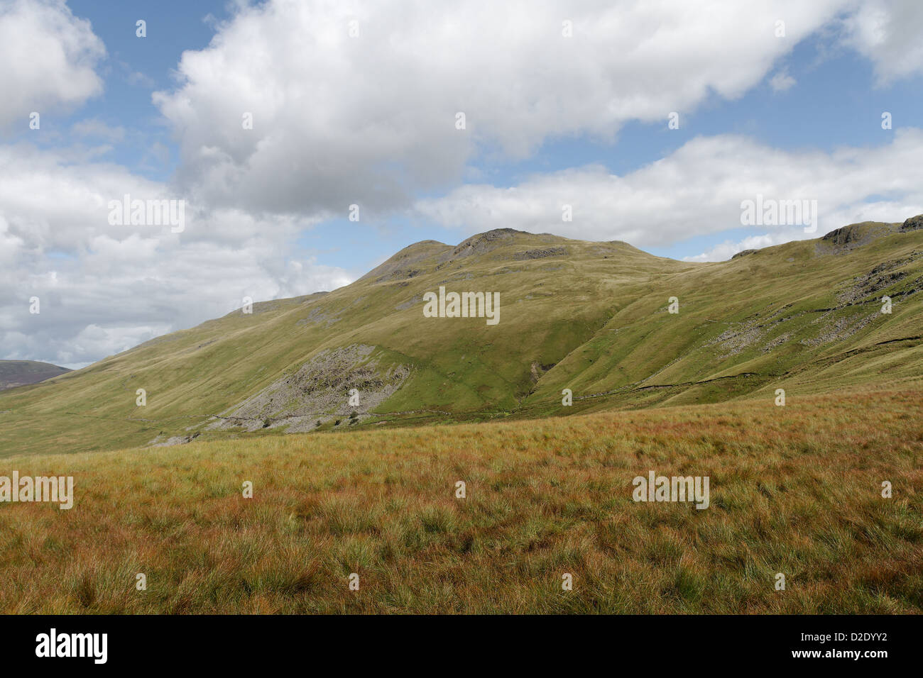 View of Arenig Fawr, Snowdonia Stock Photo - Alamy