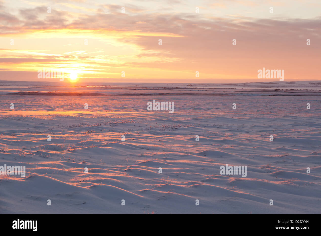 Sunset in the polar tundra Stock Photo - Alamy