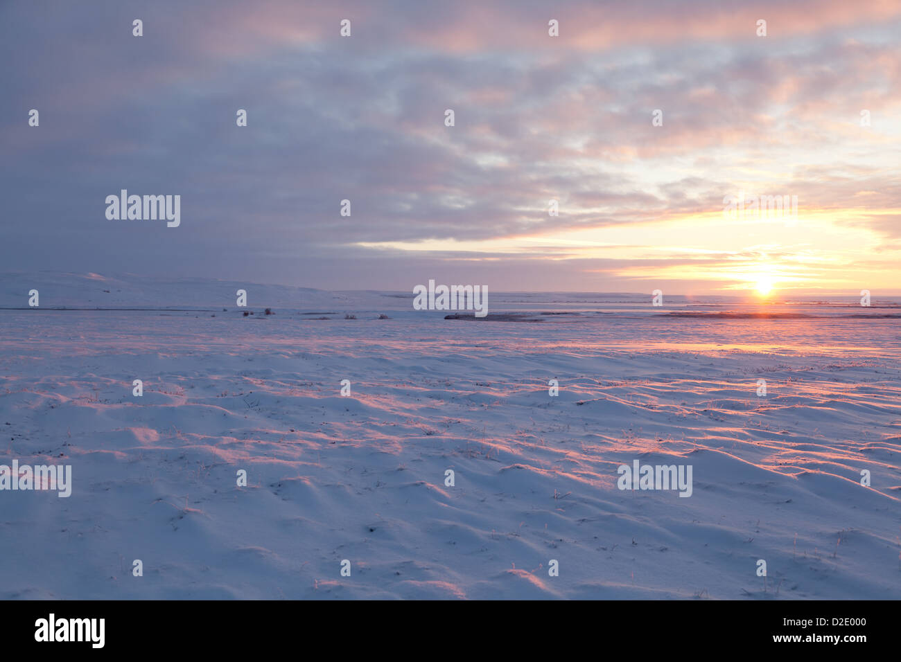 Tundra sunset hi-res stock photography and images - Alamy