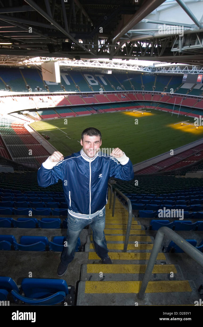 Welsh Boxer at the Millennium Stadium in Cardiff, UK Stock Photo - Alamy
